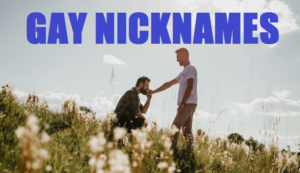 400+ Most Common And Funny Gay Names For Boys In 2024!
